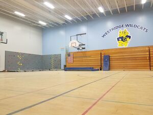 EP Climbing - Climbing Walls, Hand Holds & Wood Volumes Manufacturer